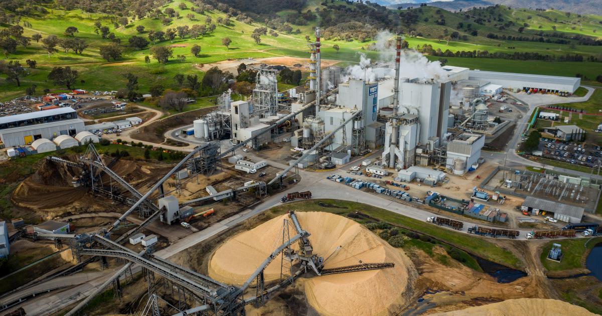 Milestone puts Tumut project closer to completion | Visy