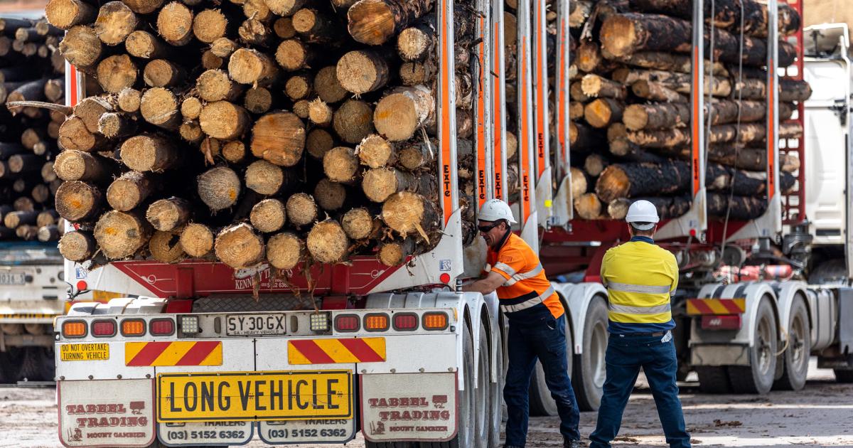 Visy’s Controlled Wood Risk Assessment and Mitigation Plan for 2022 | Visy