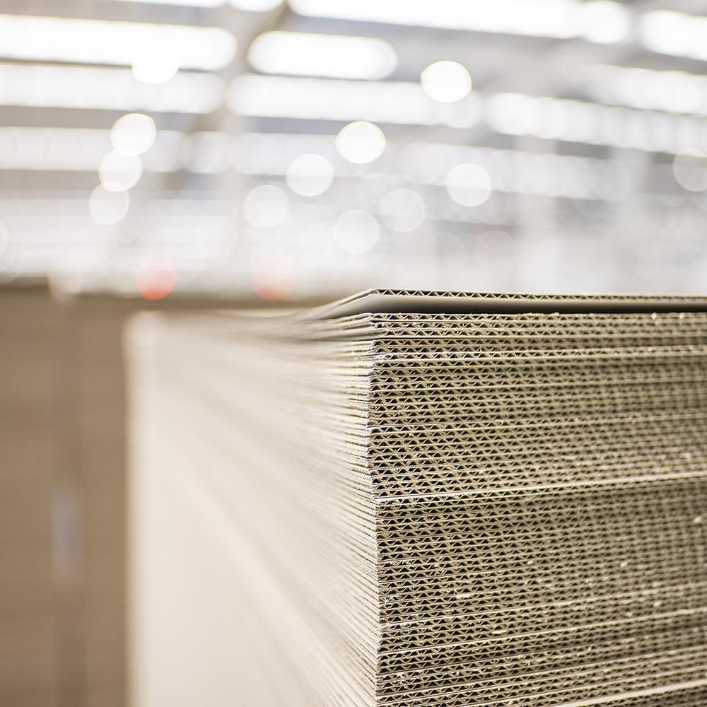 Sustainability Initiatives | Visy